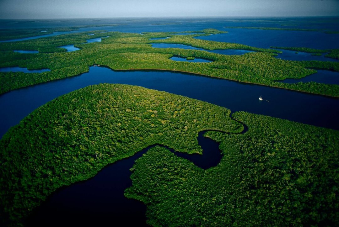 Harold Primat - Investor, philanthropist & former professional racing ...